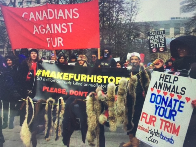 When the Fur Was Flying - John Owen